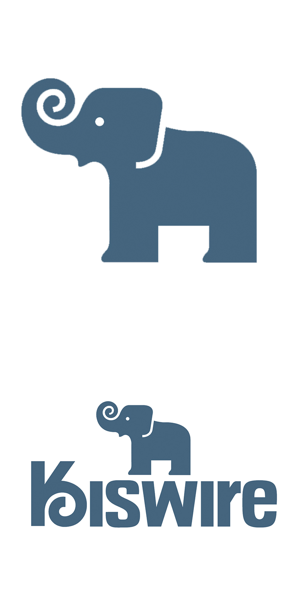 سیم بکسل KISWIRE ساخت Korea - تجهیزات صنعتی کاریز